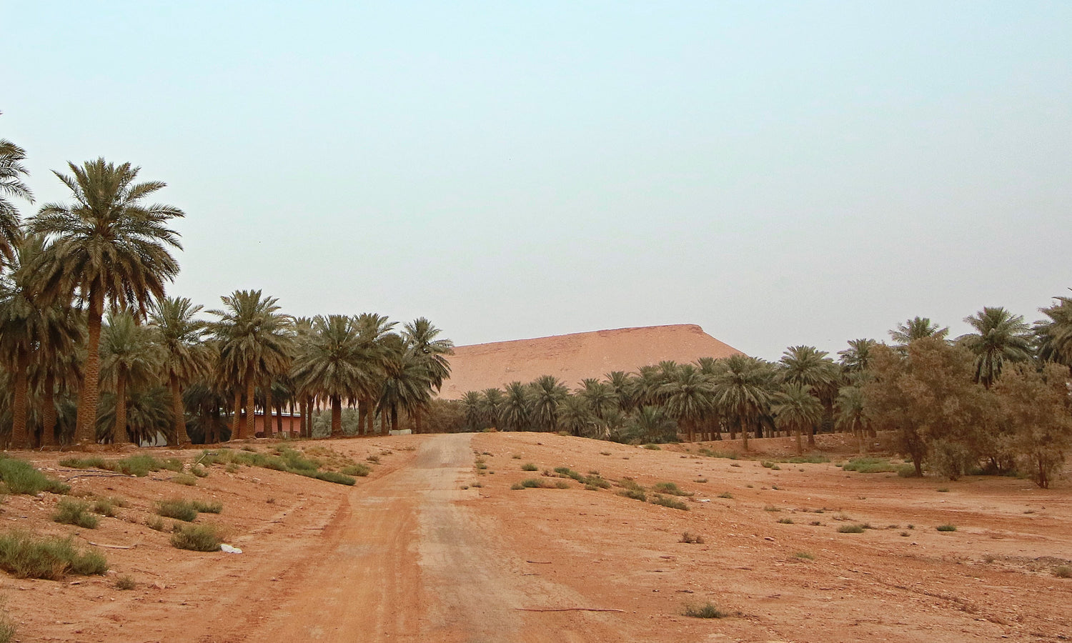 Our farms | NaraFood